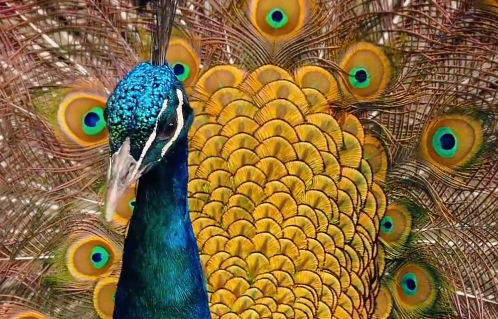 Beck & Carter | Jobs Board